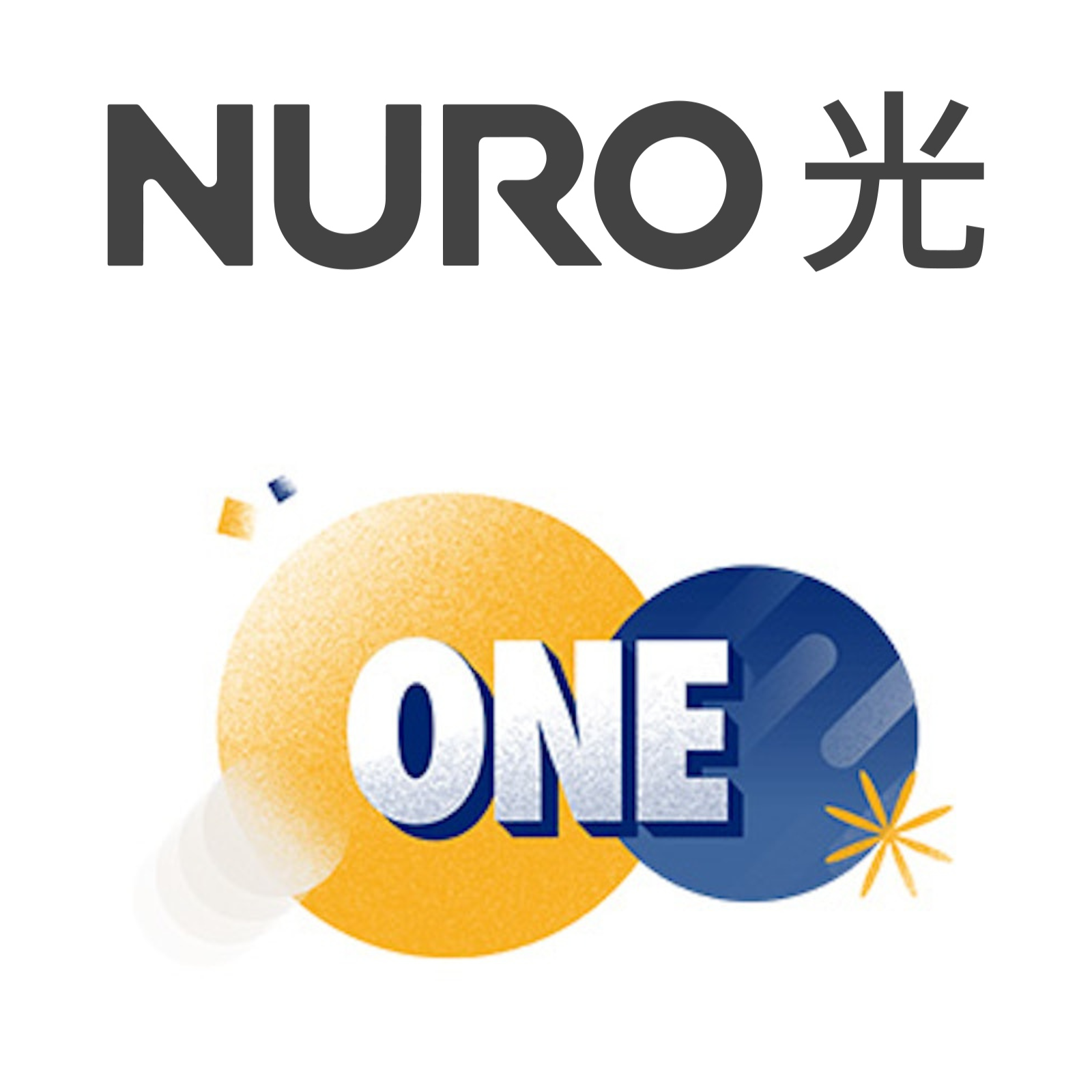 ソニーネットワークコミュニケーションズ NURO光one 2ギガ 戸建てタイプ 契約期間なしを検証レビュー！光回線の選び方も紹介 | マイベスト